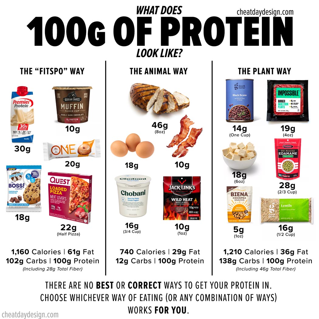 What Does 100g Of Protein Look Like? | A Visual Guide