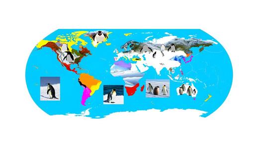 Penguins Thrive In Warm Climates: 3 Noteworthy Species