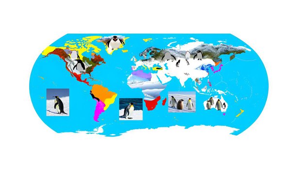 Do Penguins Live On These 10 Maps?