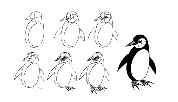 7 Steps To Draw A Realistic Penguin