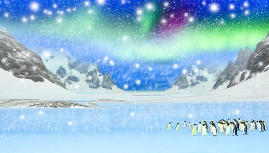 Tracing The Evolution - Understanding The History Of Penguins On Earth