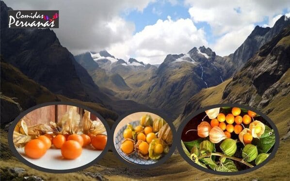 Superalimento Peruano Aguaymanto - Comidasperuanas.com.pe