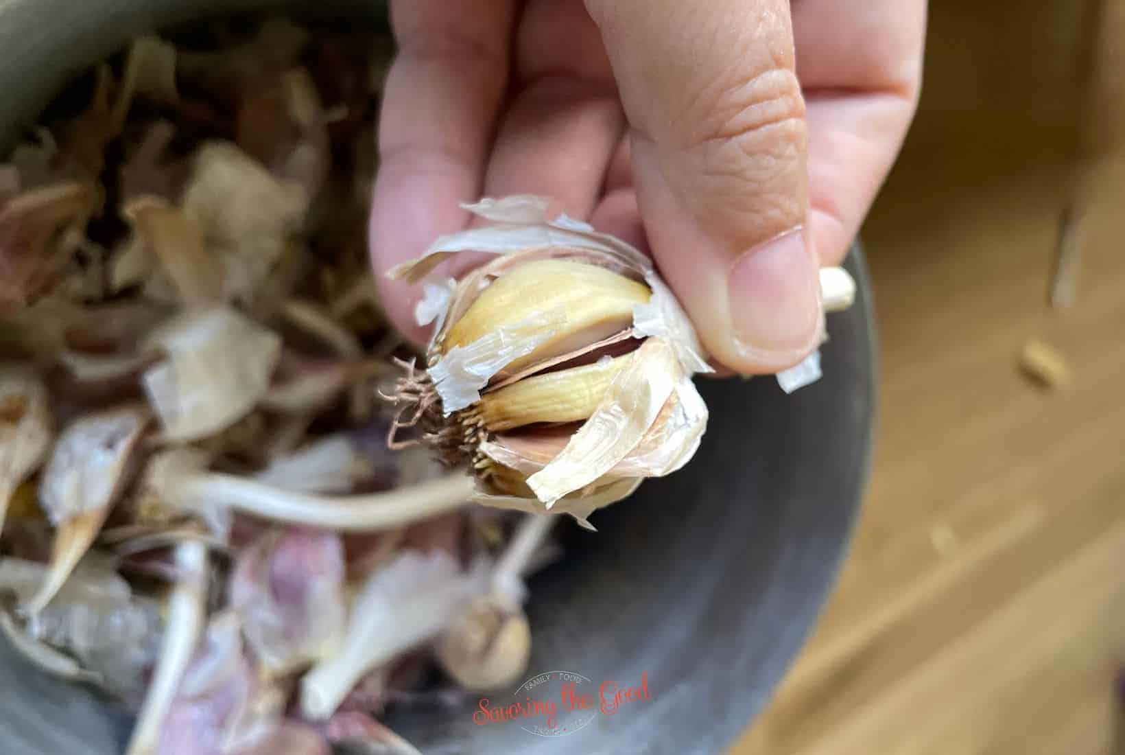 How to Make Garlic Powder – Savoring The Good®