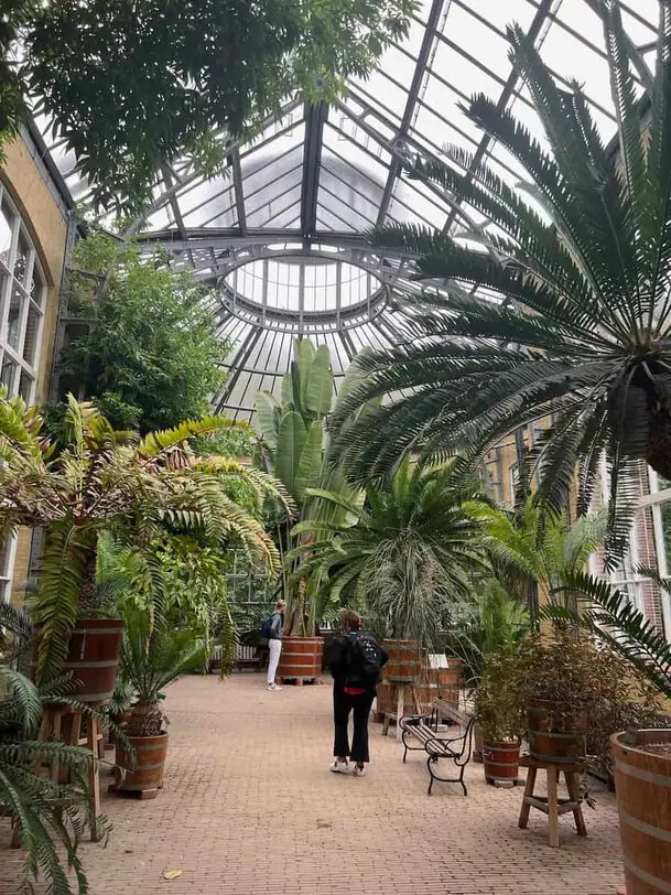 Are the Hortus Botanical Gardens in Amsterdam worth visiting?