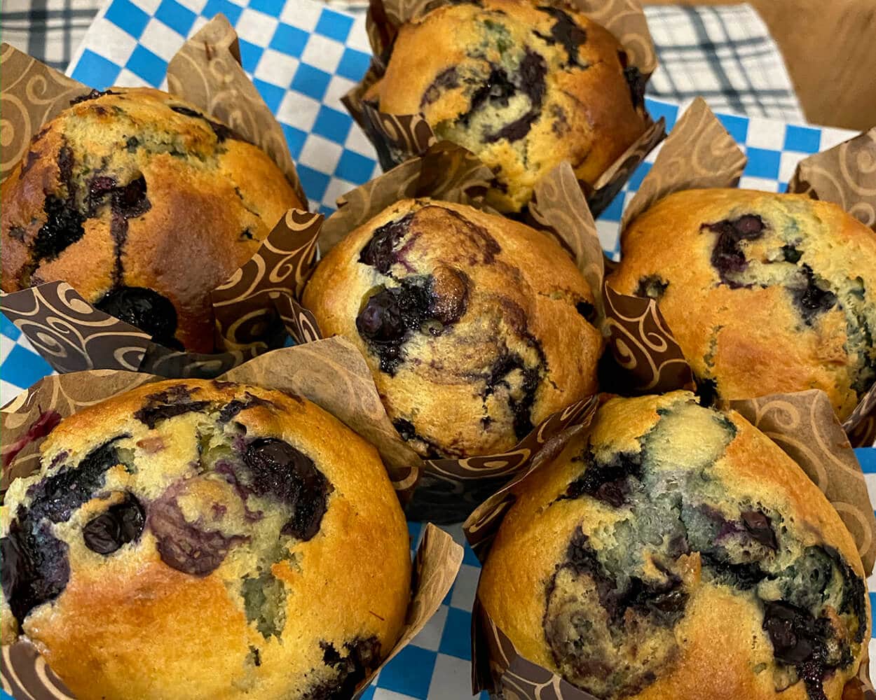 Blueberry Picking in London Ontario - Kustermans