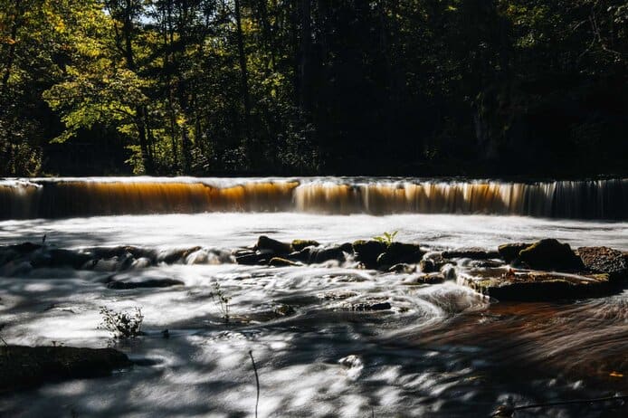 Lahemaa Rahvuspark: Highlight auf deinem Baltikum Roadtrip