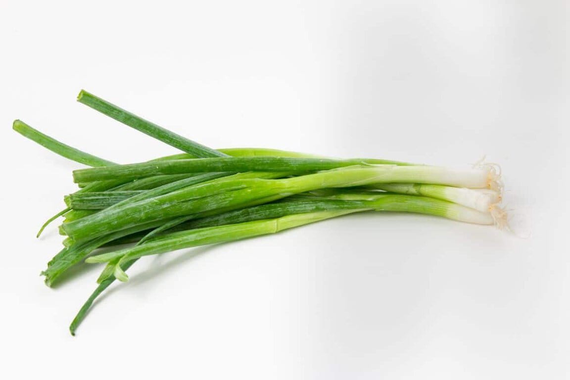 What Are Scallions? Everything You Need to Know - Food Champs