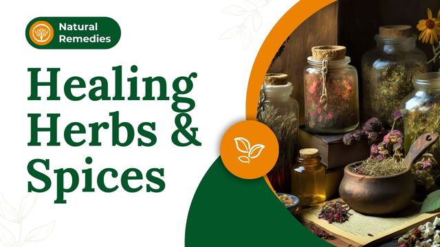 Top 10 Healing Herbs And Spices: Best Herbs For Daily Wellness | Spavelous