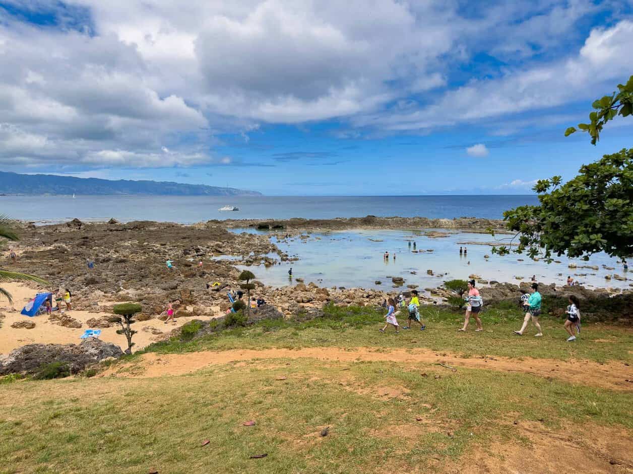 Snorkel Forever at Shark's Cove - Go Oahu