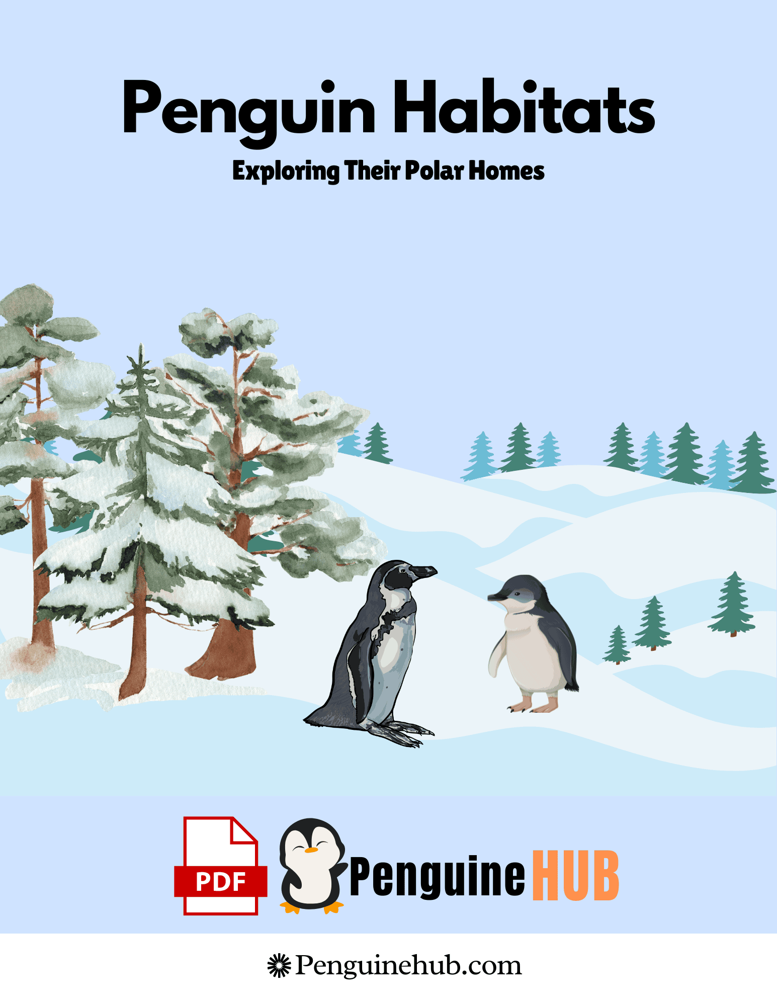 Penguin Species, Habitats & Conservation Guide | 2025