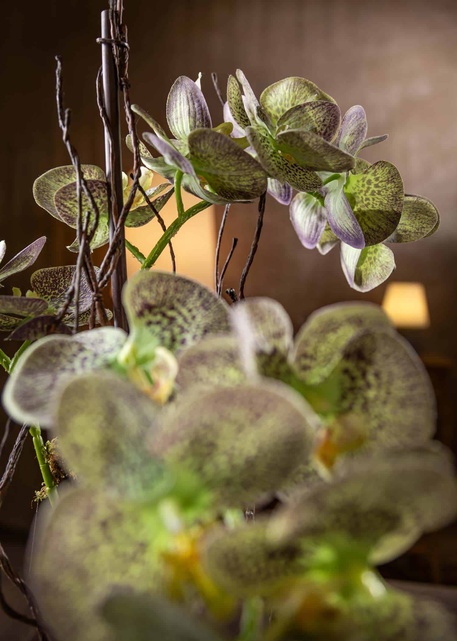 Orchidee finte Online? Fai la scelta perfetta! Arredi floreali Eleganti.