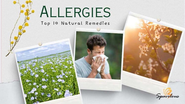 Top 10 Natural Remedies For Seasonal Allergies | Spavelous