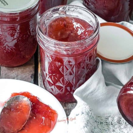 Rhubarb Jam Recipe (Small Batch Homemade Rhubarb Jam)