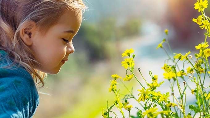 Discovering Wellness: Spectacular Renewal In Nature And Spas 2 Elements