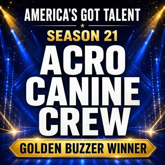 Acro Canine Crew AGT Season 21 Golden Buzzer Dog Act