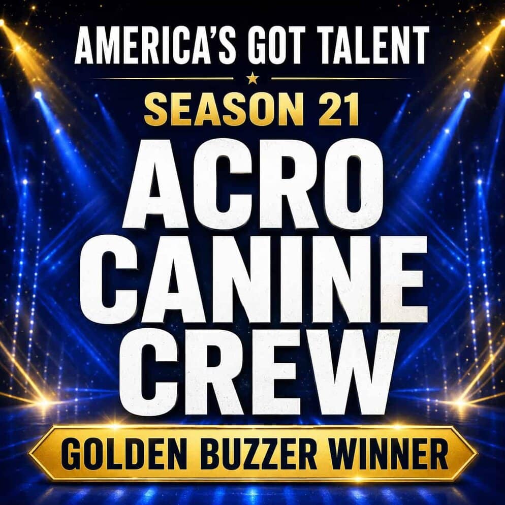 Acro Canine Crew AGT Season 21 Golden Buzzer Dog Act