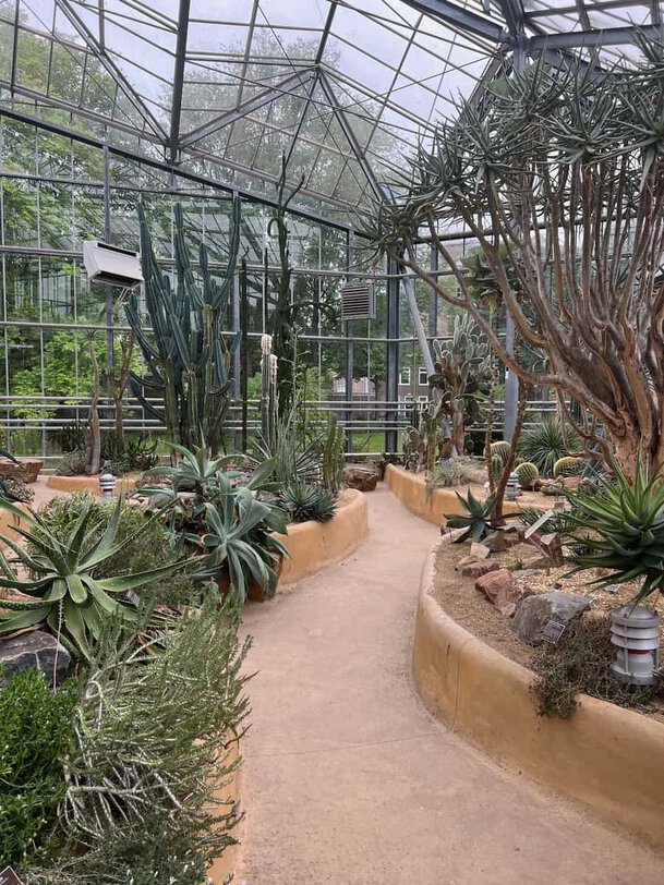 Are the Hortus Botanical Gardens in Amsterdam worth visiting?