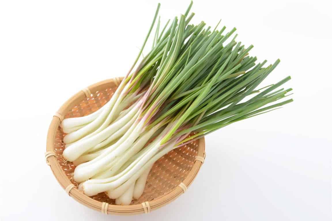 What Are Scallions? Everything You Need to Know - Food Champs