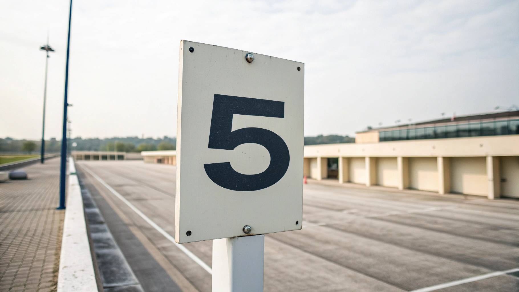 Ce que le chemin de vie numéro 5 dit sur l'astrologie Youdeluxe