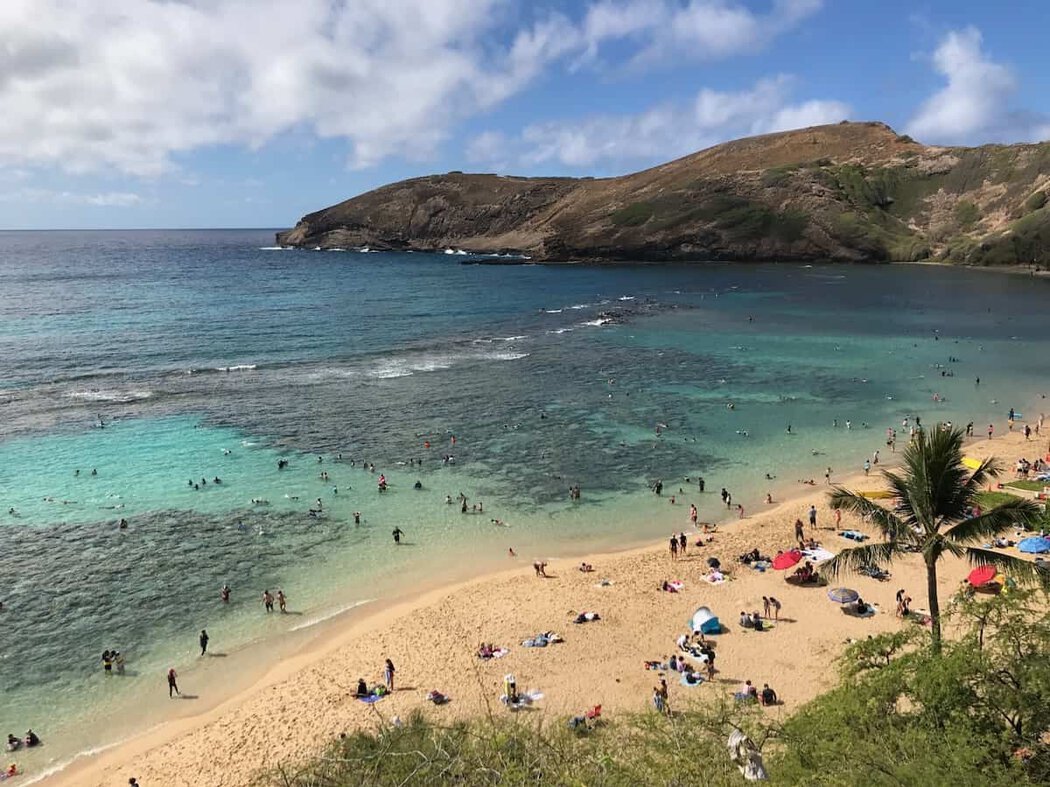 Hanauma Bay for Snorkeling: Things You Need to Know