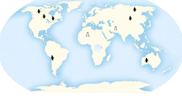 Why Do Penguins Live Together In Groups For Kids?