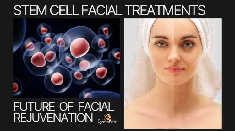 Rejuvenation Power Of Stem Cell Facial Treatments: Unlocking Youthful Skin | Spavelous