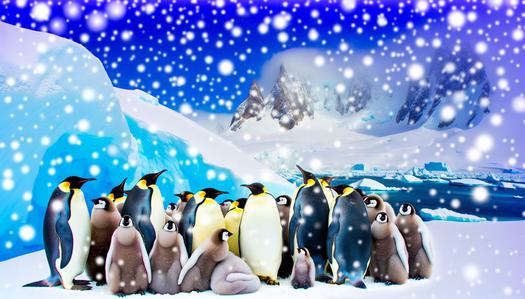 Do Emperor Penguins Sleep: Understanding Their Patterns