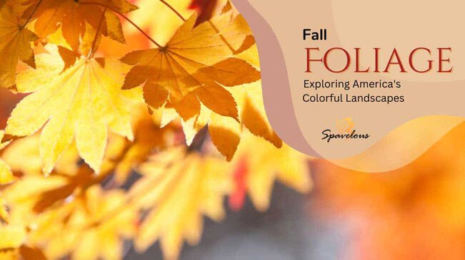Fall Foliage 2025 Adventures: Exploring America's Colorful Landscapes ...