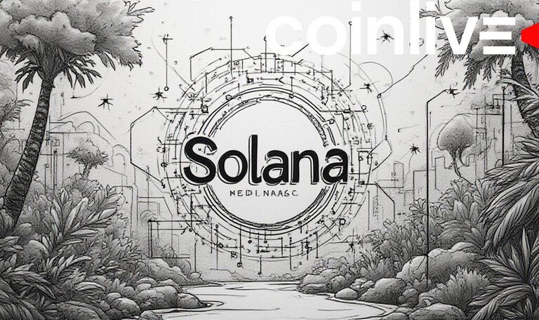 Solana Maintains Key Level Amid Rising Trading Volume - CoinLive