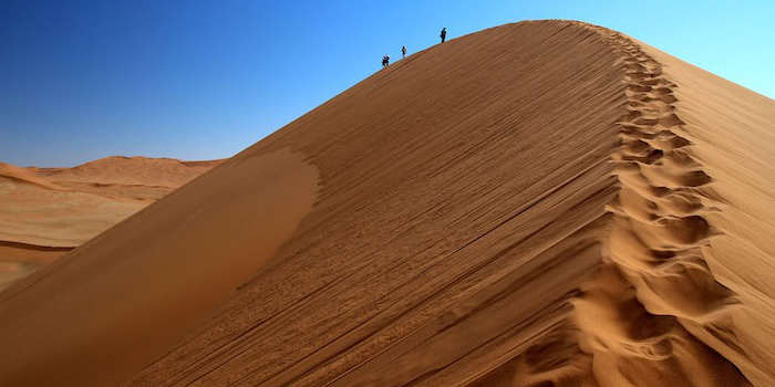 4 Unique & Interesting Kalahari Desert Facts and Best Tourist Attractions