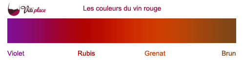 Vin, mode d'emploi (ou comment te la péter dans les diners mondains 🙂 ...