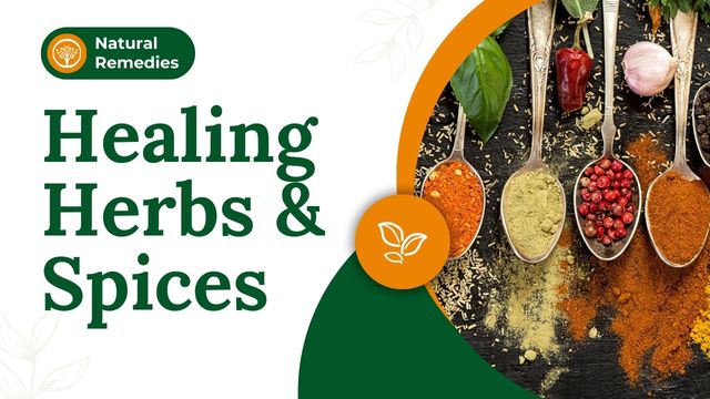 Top 10 Healing Herbs And Spices: Best Herbs For Daily Wellness | Spavelous