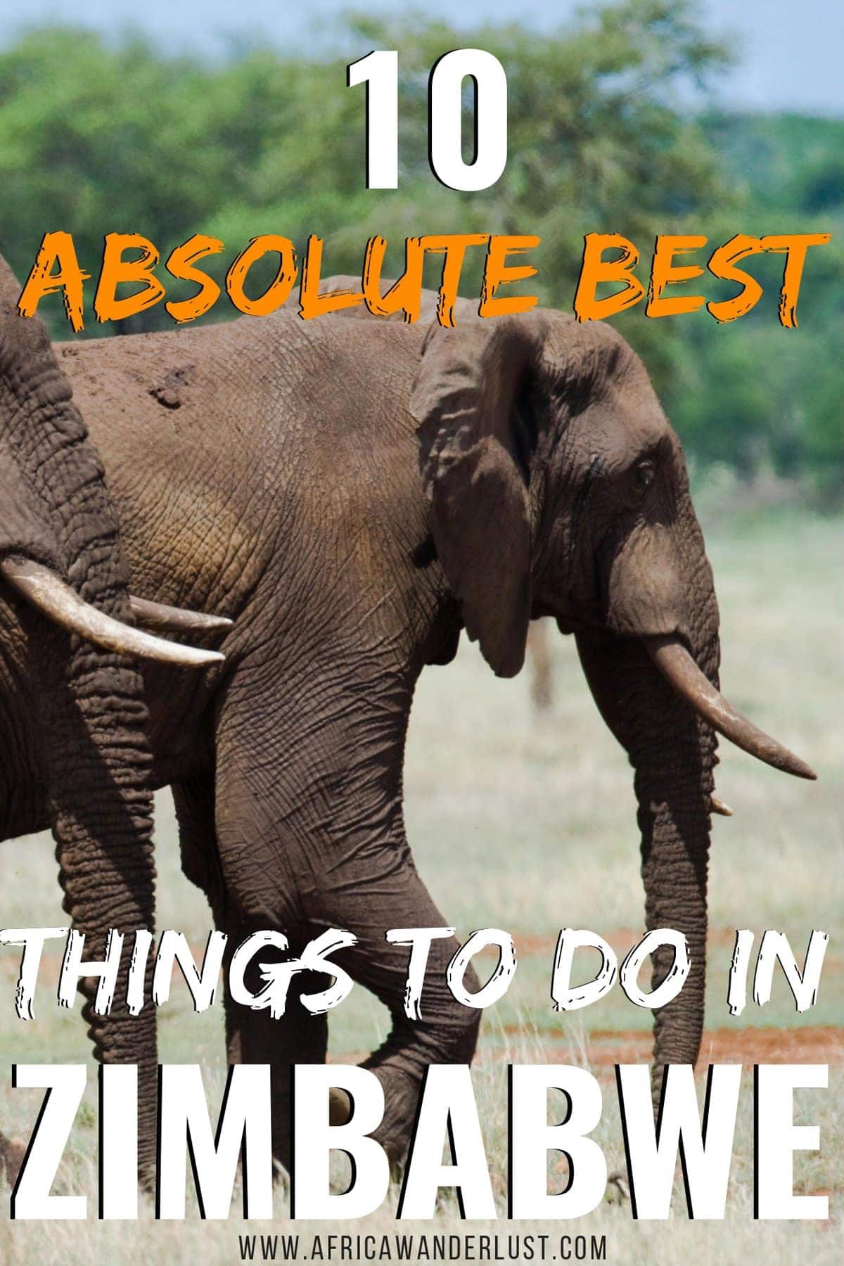 10 Absolute Best Things to do in Zimbabwe in 2024 | Africa Wanderlust