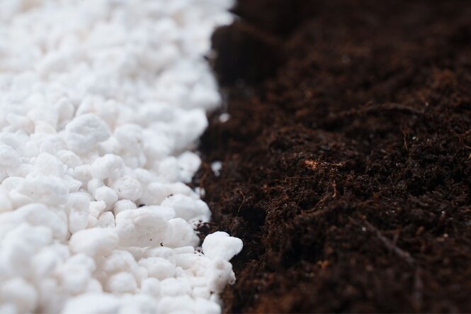 The Right Amount of Perlite for Your Potting Soil | Succulent Alley