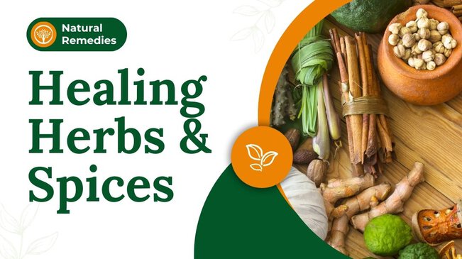Top 10 Healing Herbs And Spices: Best Herbs For Daily Wellness | Spavelous