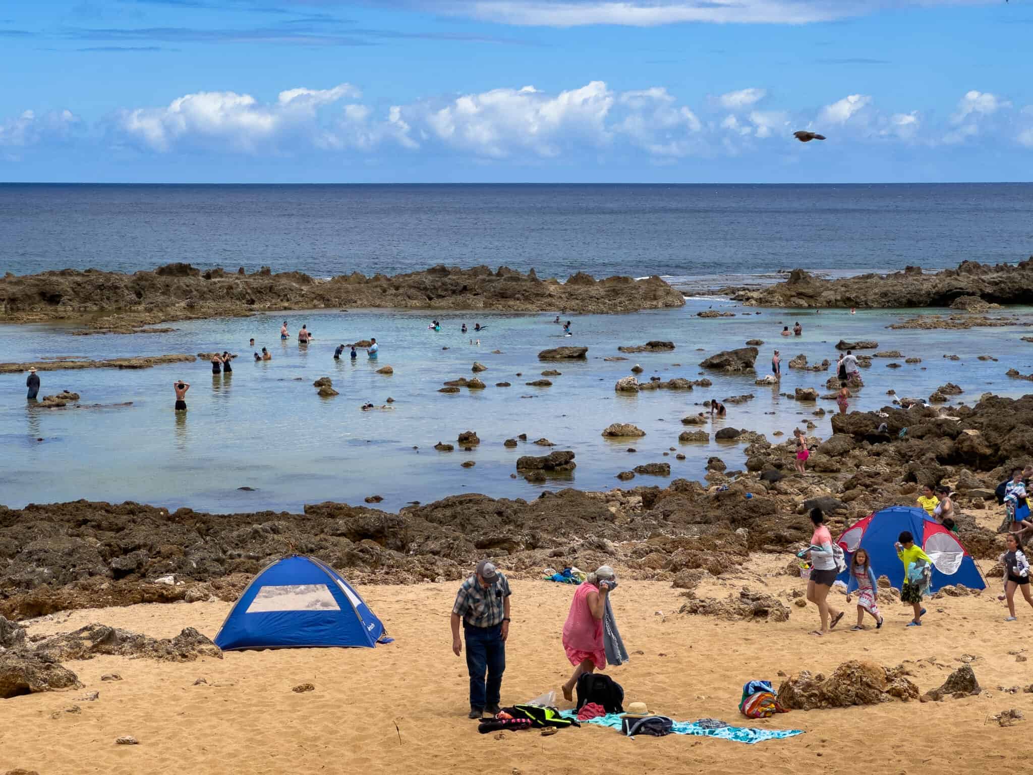 Snorkel Forever at Shark's Cove - Go Oahu