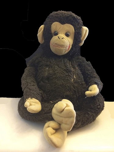 Una mente errante, una mente infeliz – Entusiasmado.com