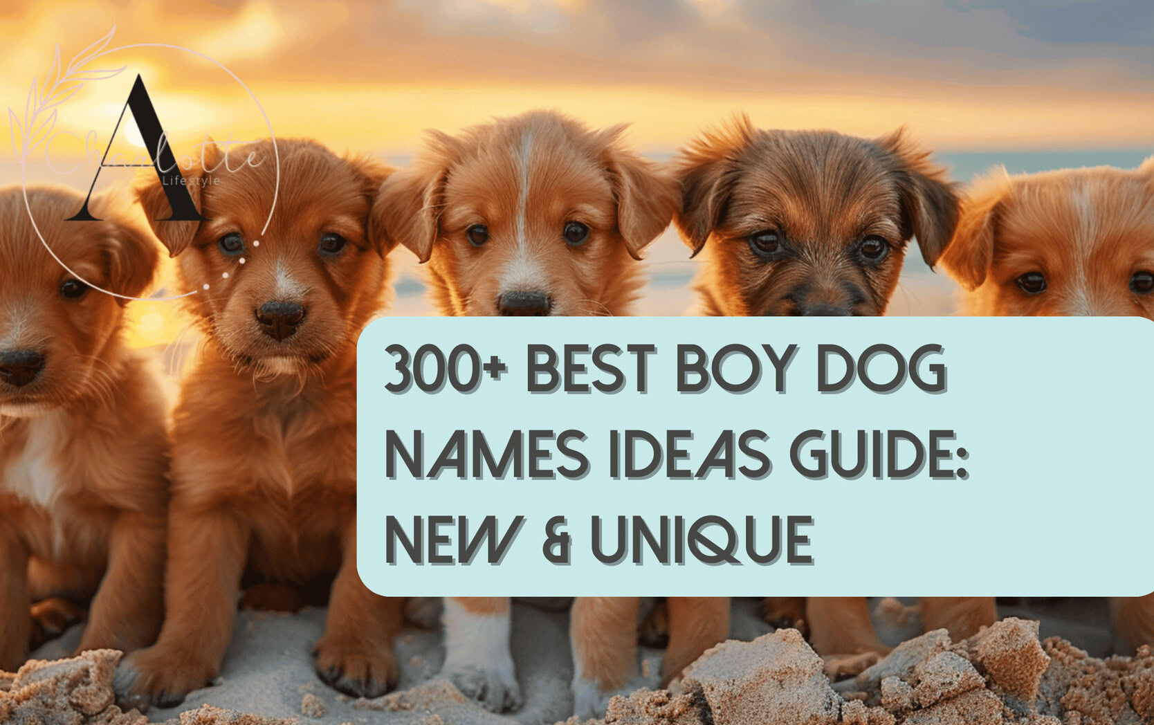 300+ Best Boy Dog Names (2025 Guide): Unique & Fresh Ideas - Adore ...