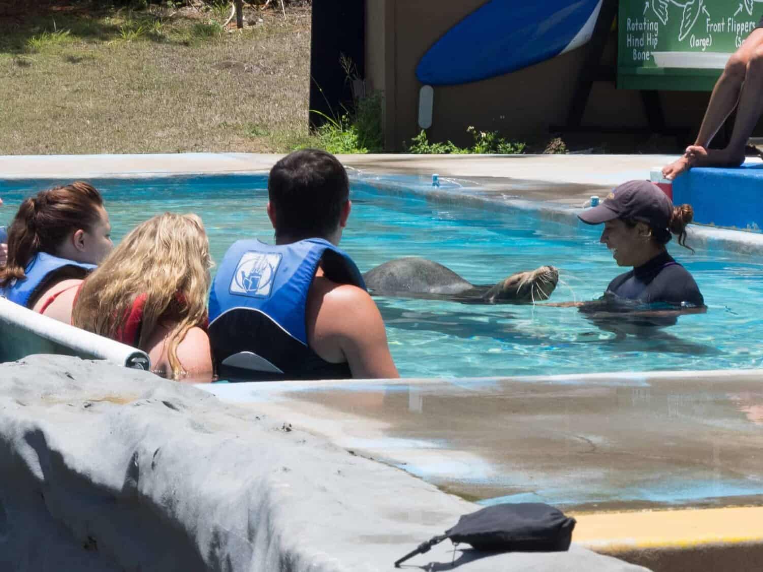 Sea Life Park Hawaii - Go Oahu