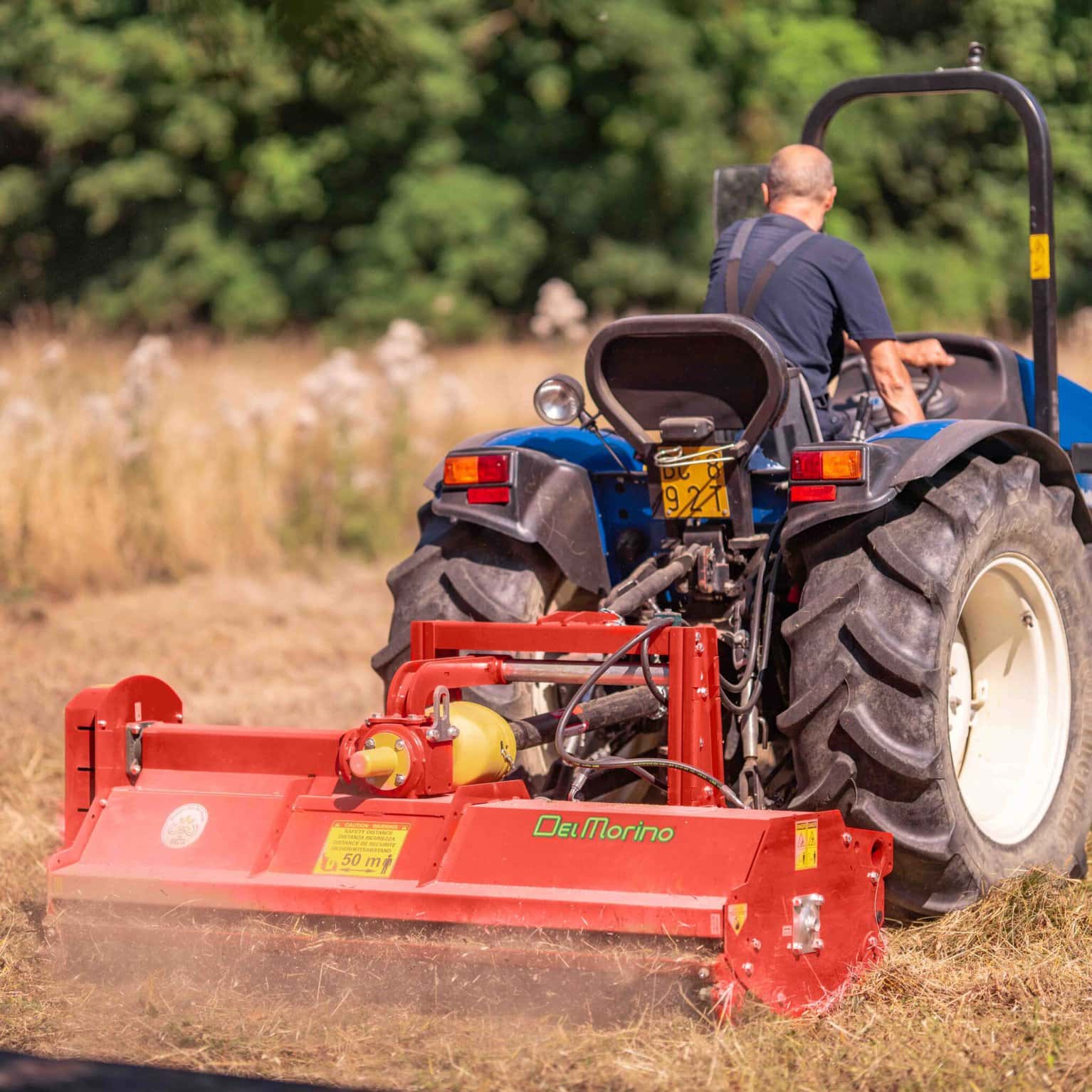 Flipper | Del Morino