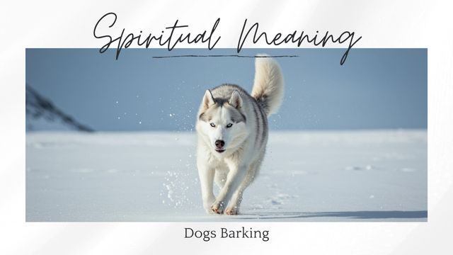 Dog Barking: Delighted Spiritual Meaning Revealed | Spavelous