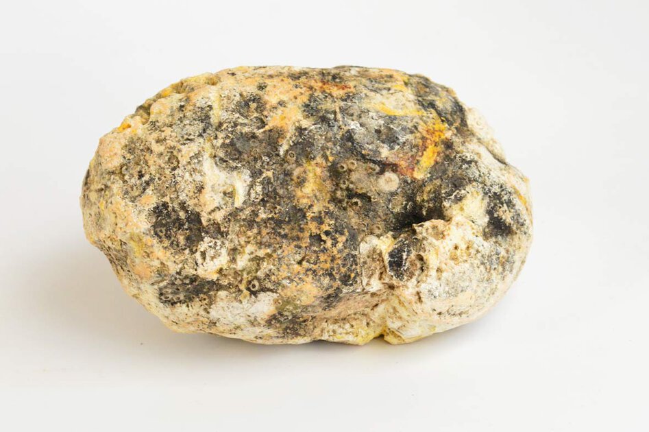 What Is Ambergris? Why 'Whale Vomit' Is Used In Luxury Perfumes