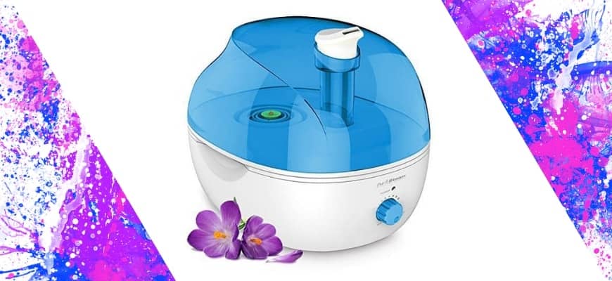 Walgreens Humidifier Review