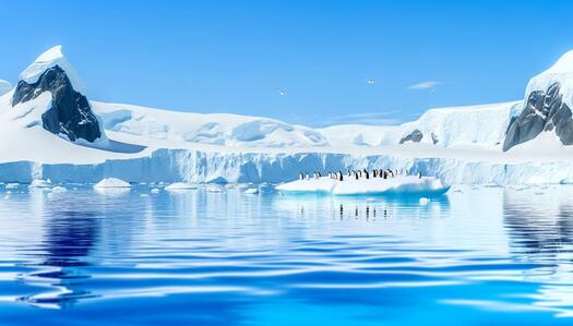 10 Key Locations On The Map Where African Penguins Live