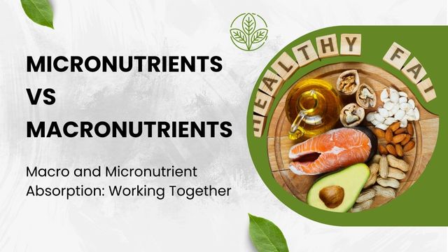 Micronutrients Vs. Macronutrients: Understanding Macros For Better ...
