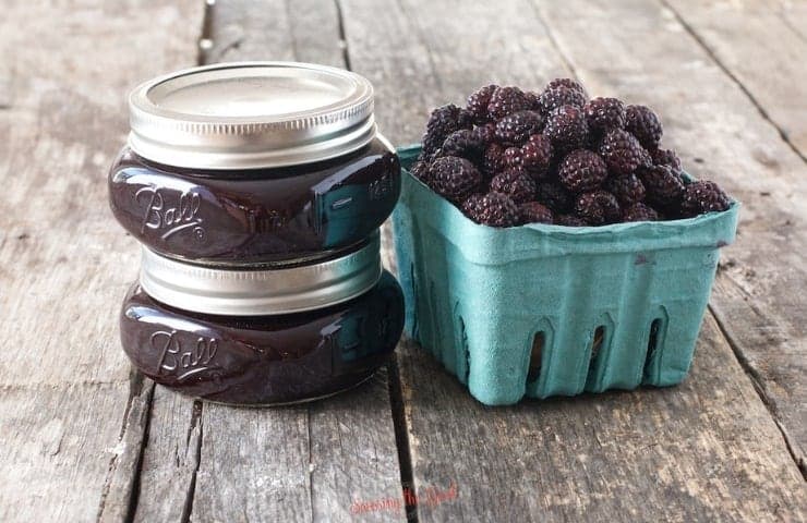 how to make raspberry jam seedless