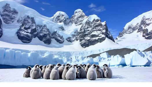 Tracing The History Of Pete The Penguin - A Guide To Youngstown State's ...