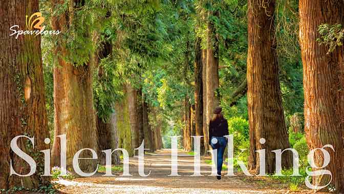 Silent Travel Mindful Journeys To Quiet Spaces For Health | Spavelous