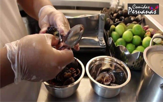 Ceviche de Conchas Negras Peruano - Comida Peruana - Comidas Peruanas