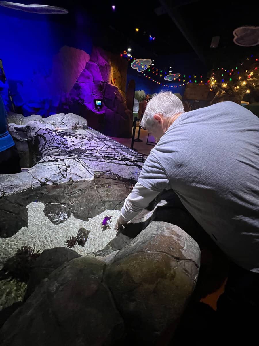 Sea Life Aquarium Charlotte-Concord Mills Review